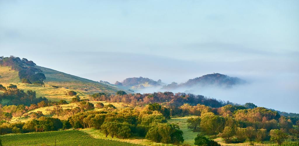 Home | Encompass Financial Planning LLC